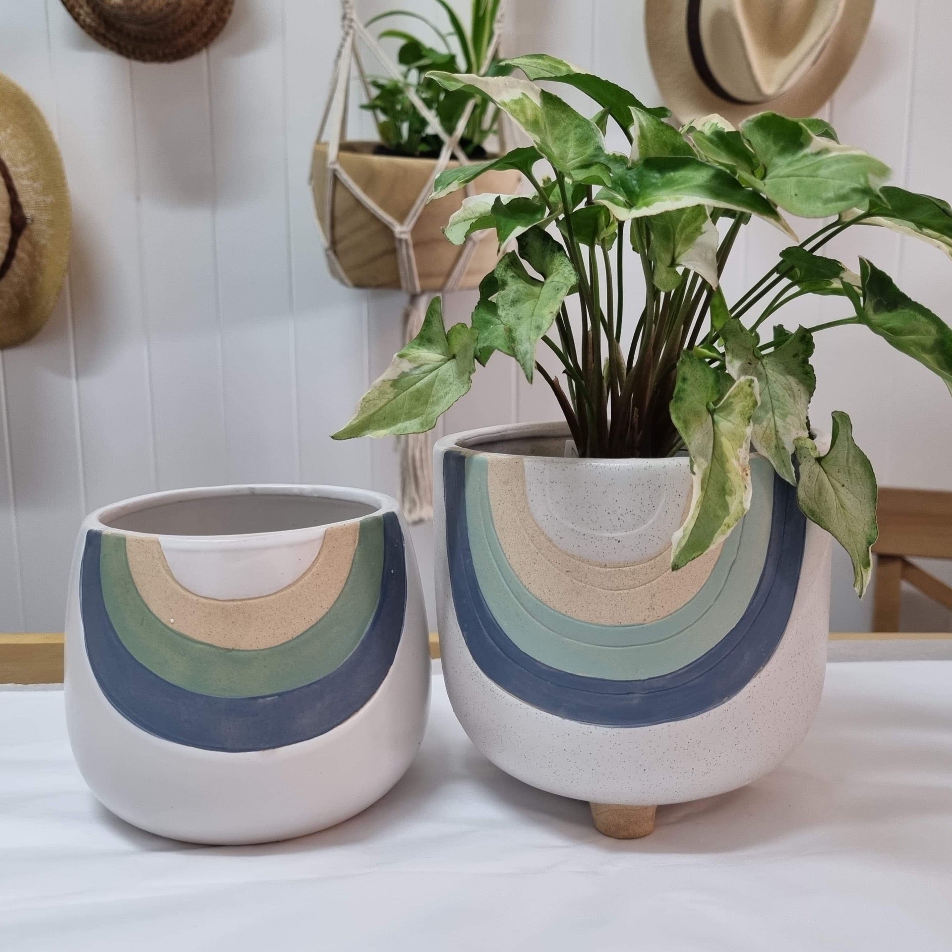 Planter Sky Rainbow | Embers & Twine